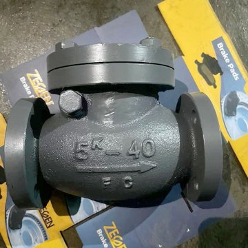 JIS F7372 5K Cast Iron Swing Check Valve | Reliable Backflow Prevention for Industrial Applications